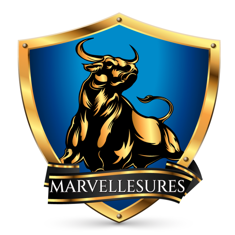 Marvellesures United States